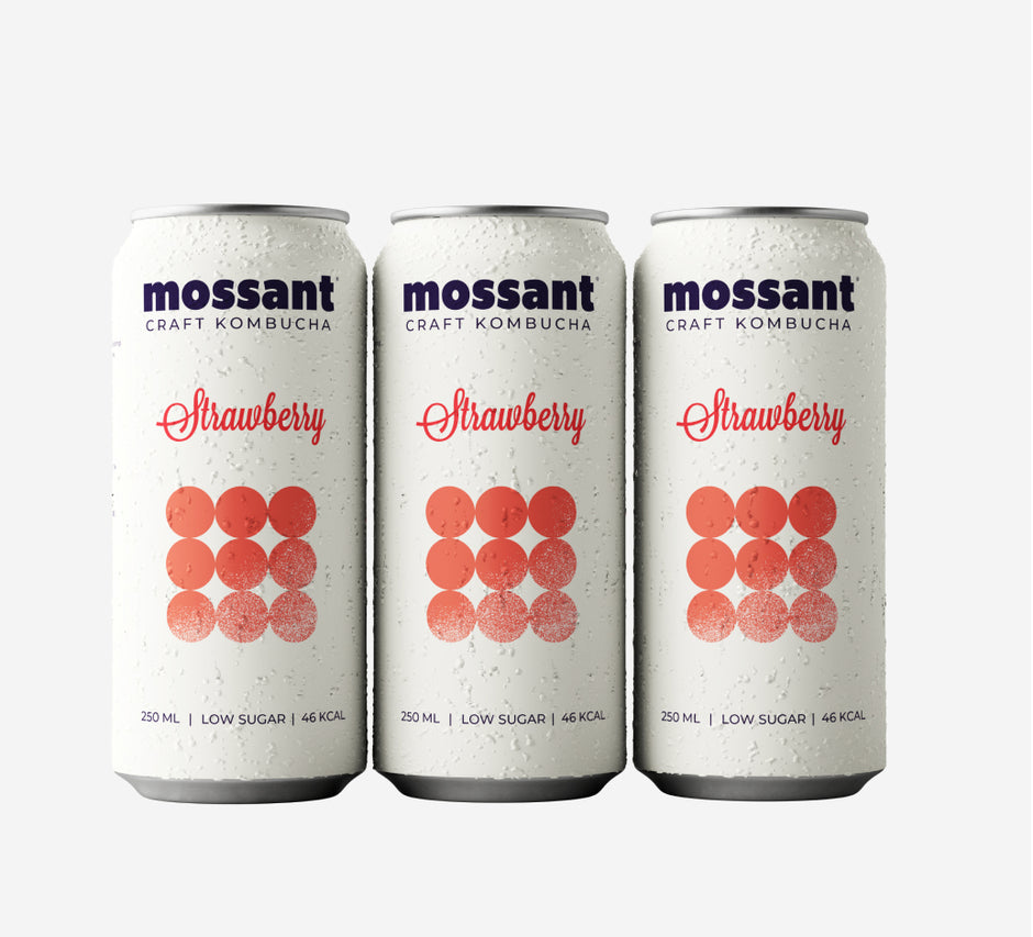 Kombucha Subscription India | Get Fresh Mossant Kombucha Delivered ...