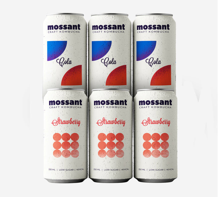 Kombucha Subscription India | Get Fresh Mossant Kombucha Delivered ...