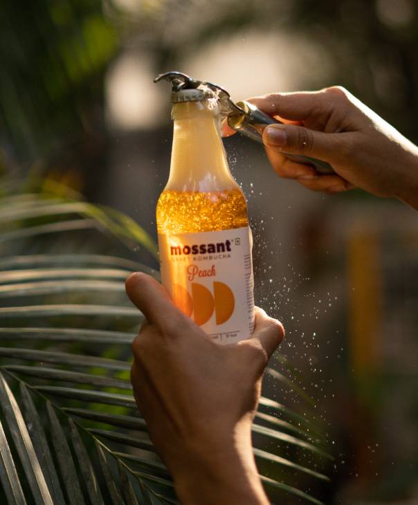 Mossant Craft Kombucha